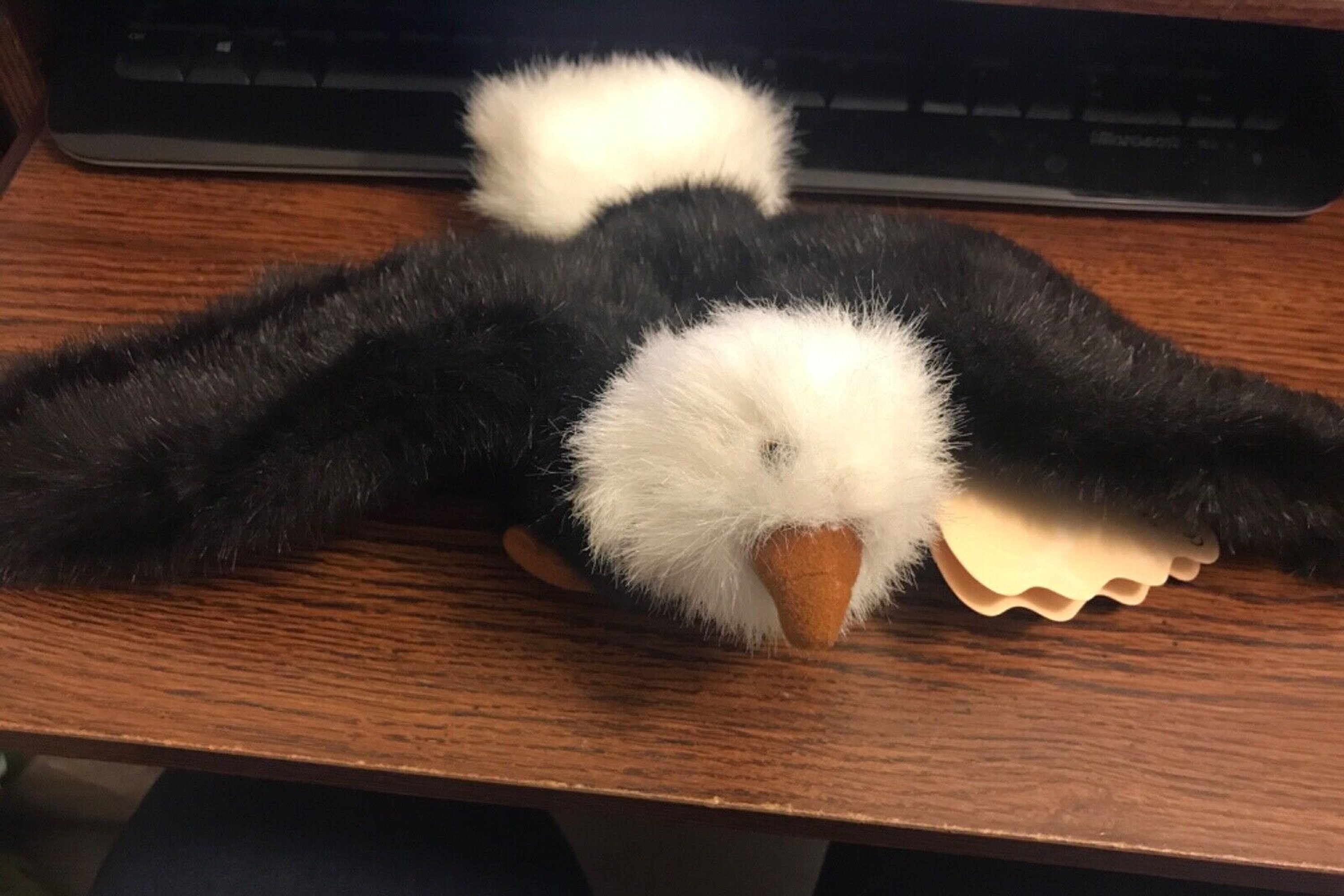 Folkmanis Puppets Bold Eagle Pretend and Play Plush Fluffy Stuffed Full ...