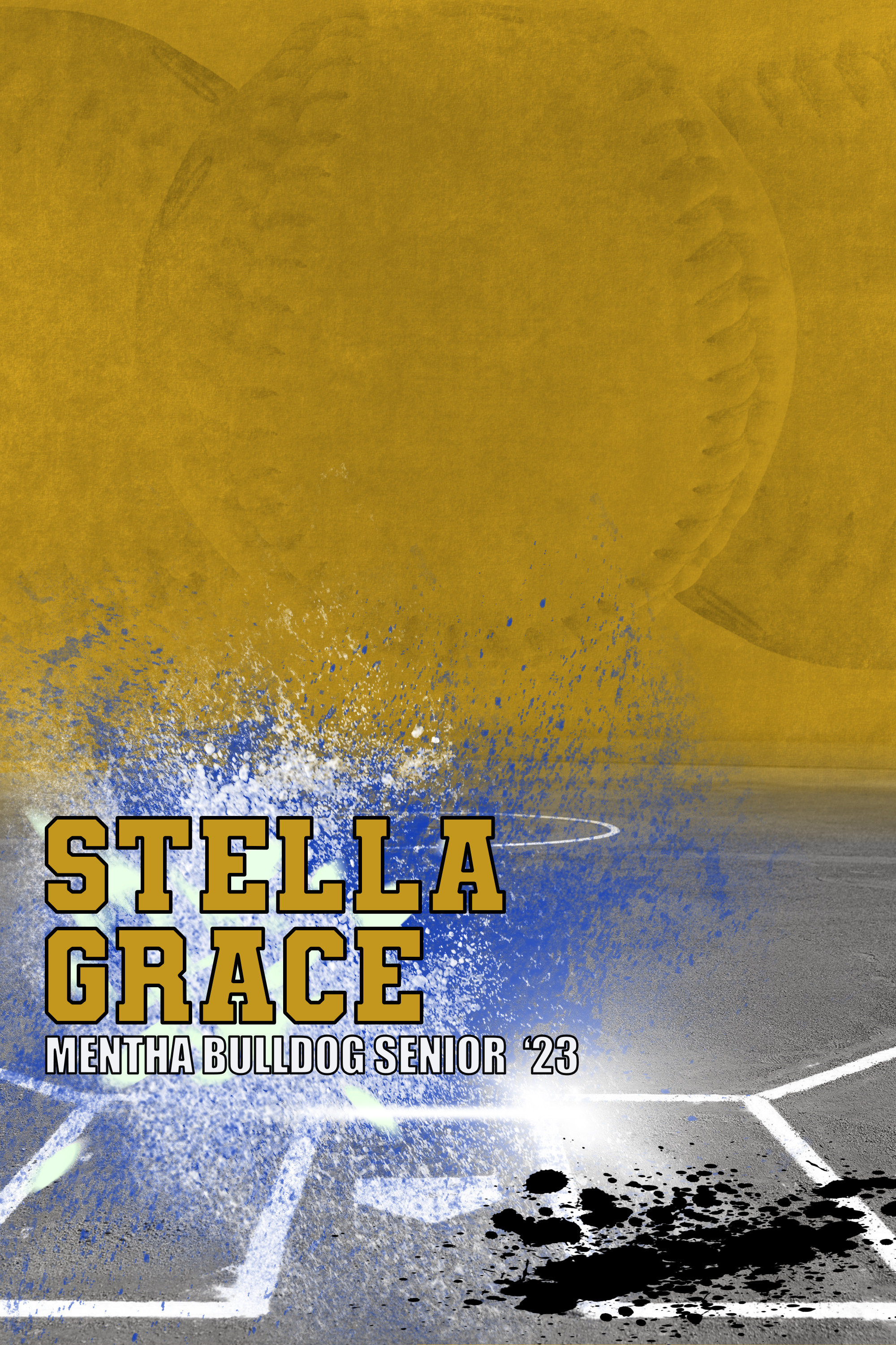 Softball 2x3 Banner Poster Template - Etsy