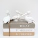 No Evil See Hear Speak White Pelican Figurine - Set of 3 | Bird Gifts ...