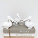 No Evil See Hear Speak White Pelican Figurine - Set of 3 | Bird Gifts ...