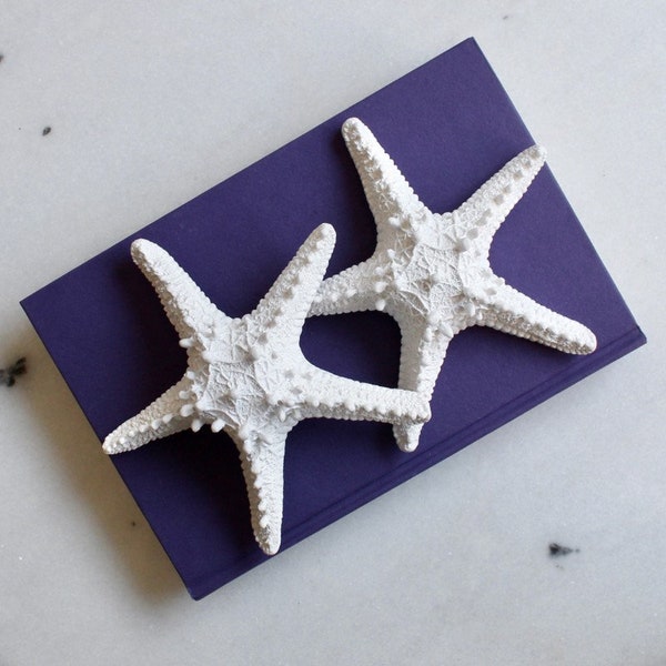 Starfish Decor - Etsy