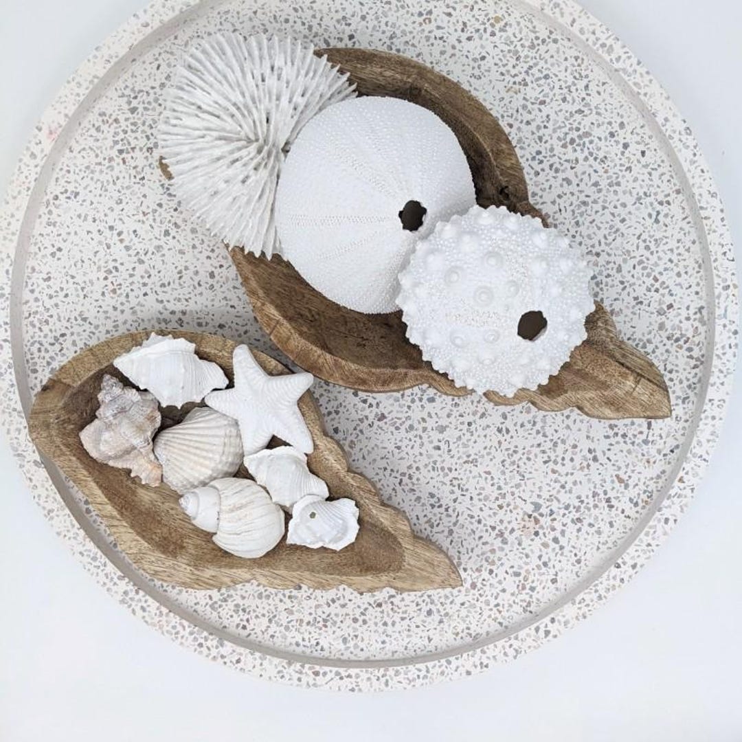 Wooden Sea Shell Tray - Set of 2 | Coastal Home Decor - Etsy