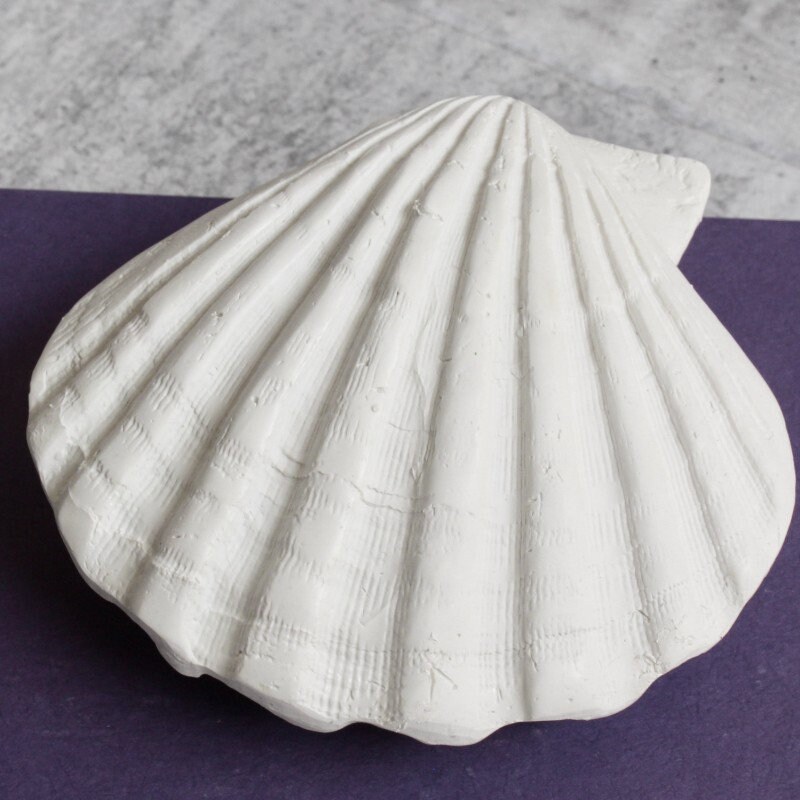 White Poly Sea Shell Ornament 13cm Decorative Faux Shell - Etsy UK