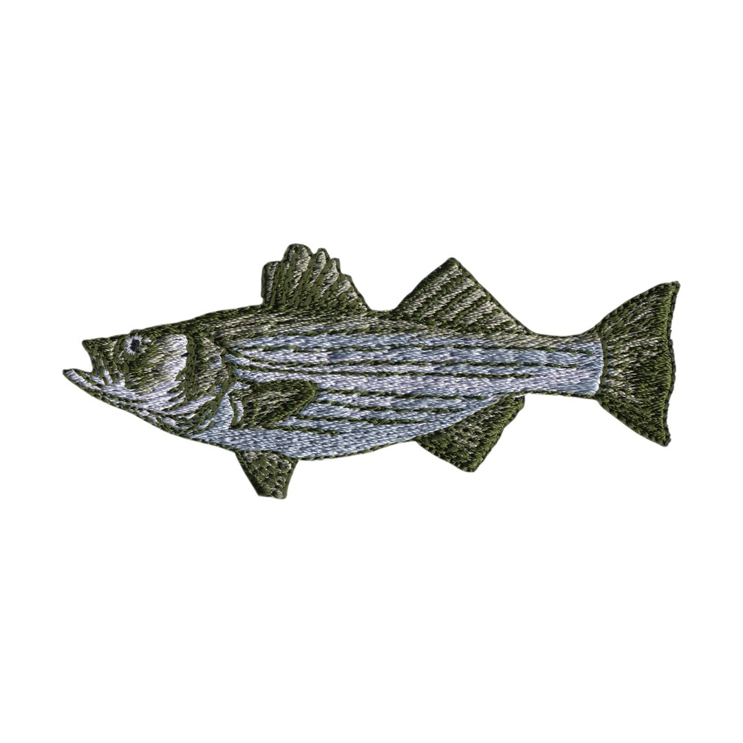 3.5" Embroidered Iron on Patch - Green & Grey Striped Bass Fish Facing ...