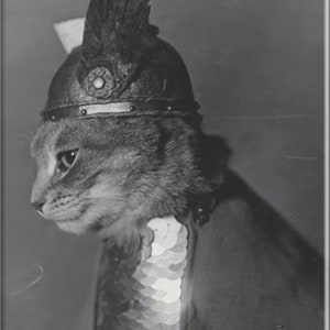 3" Magnet - Brunnhilde - Cat in Helmet - 1936 Photo of Cat in Viking ...