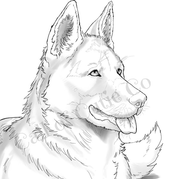 German Shepard Drawing - Etsy