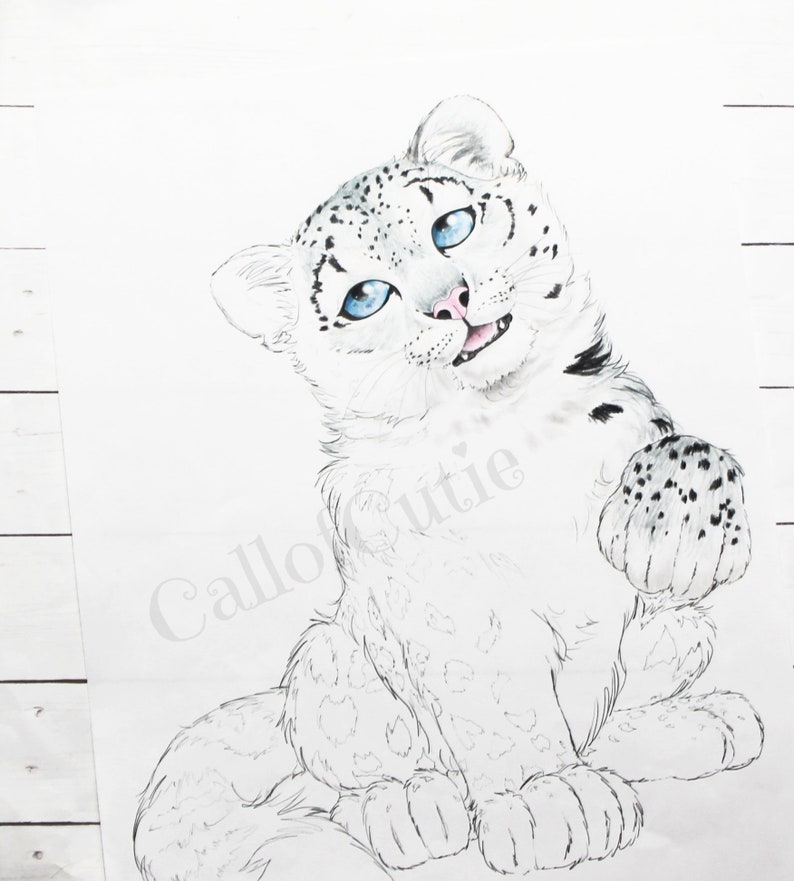 Snow Leopard Color Page/snow Leopard Coloring Page/big Cat Color Sheet ...
