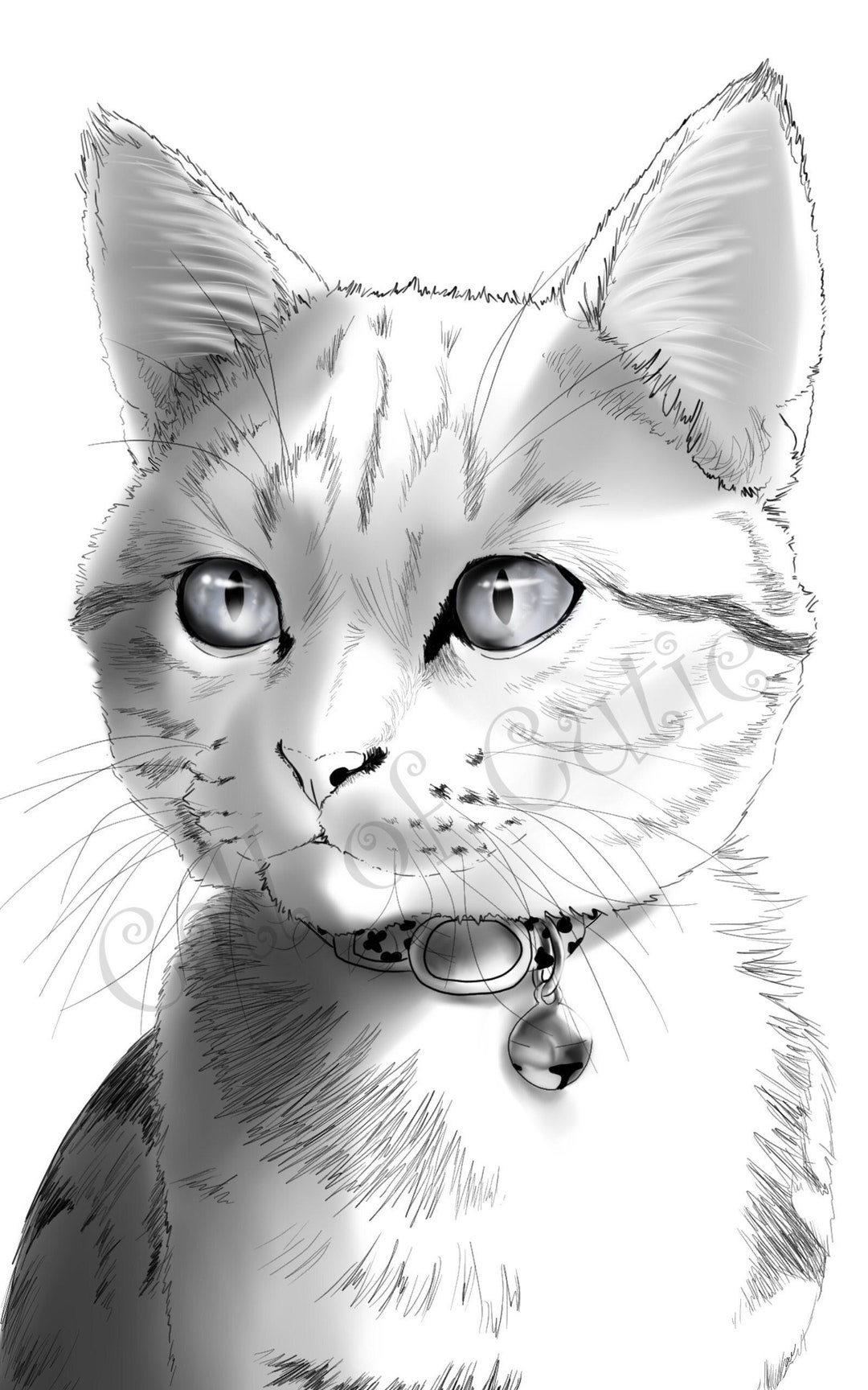 Cat Color Pages/cat Color Sheets/digital Animal Color Pages/cute Cat ...