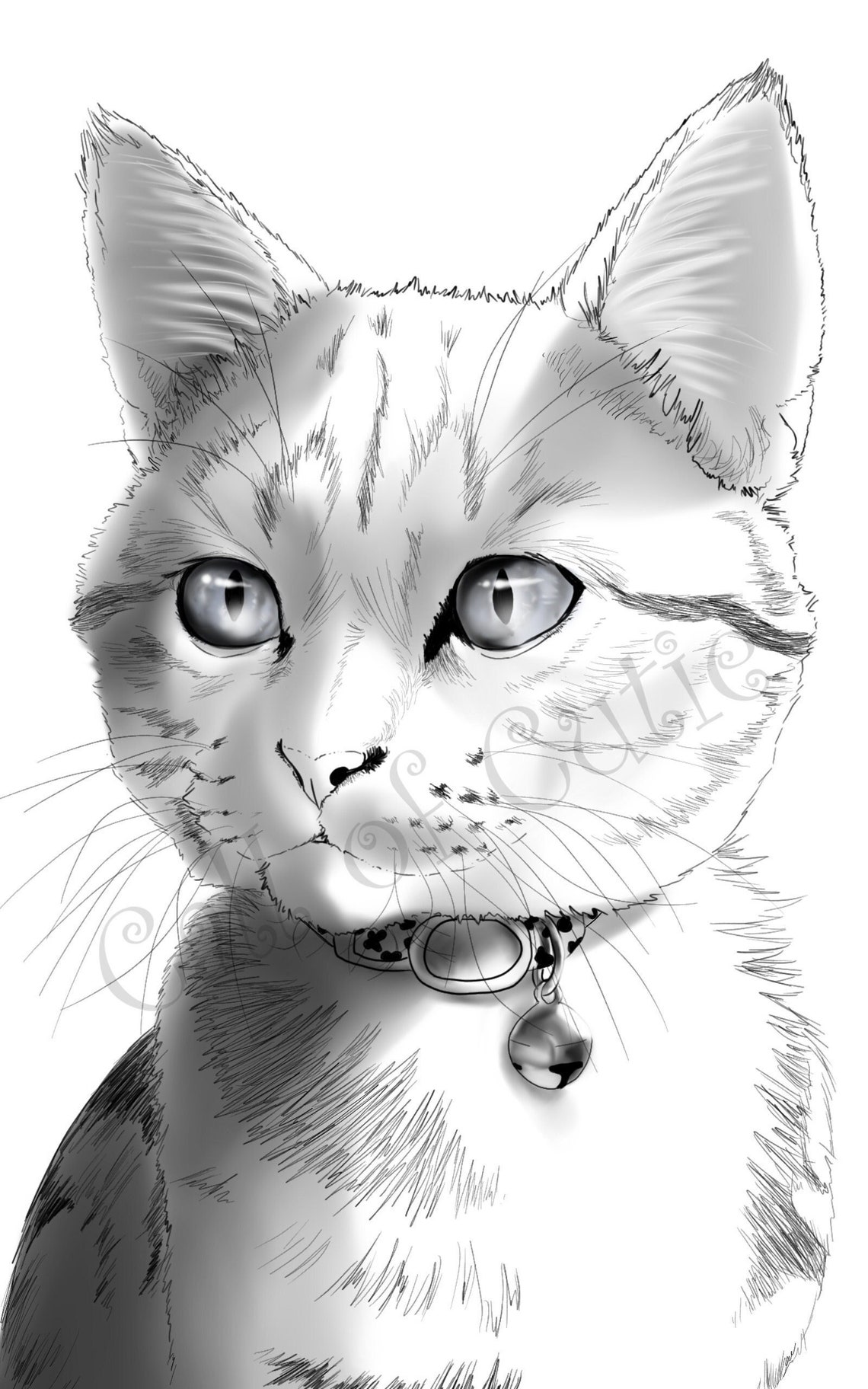 Cat Color Pages/cat Color Sheets/digital Animal Color Pages/cute Cat ...