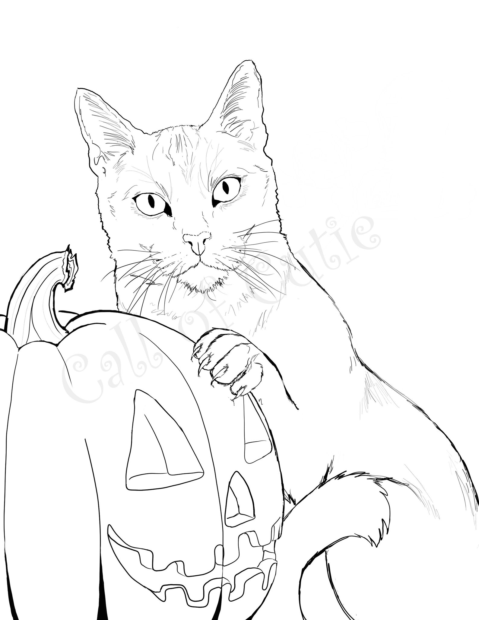 Halloween Cat Color Pages/cat Color Sheets/digital (Instant Download ...