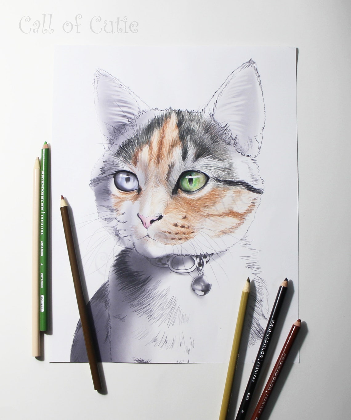 Cat Color Pages/cat Color Sheets/digital Animal Color Pages/cute Cat ...