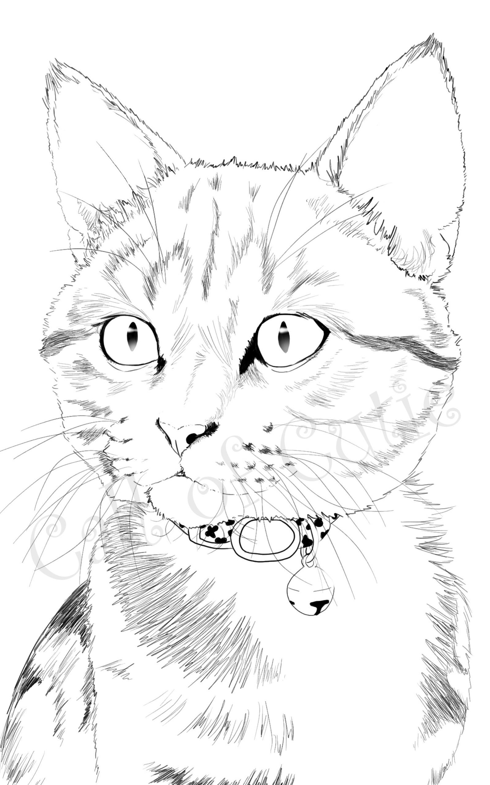 Cat Color Pages/cat Color Sheets/digital Animal Color Pages/cute Cat ...