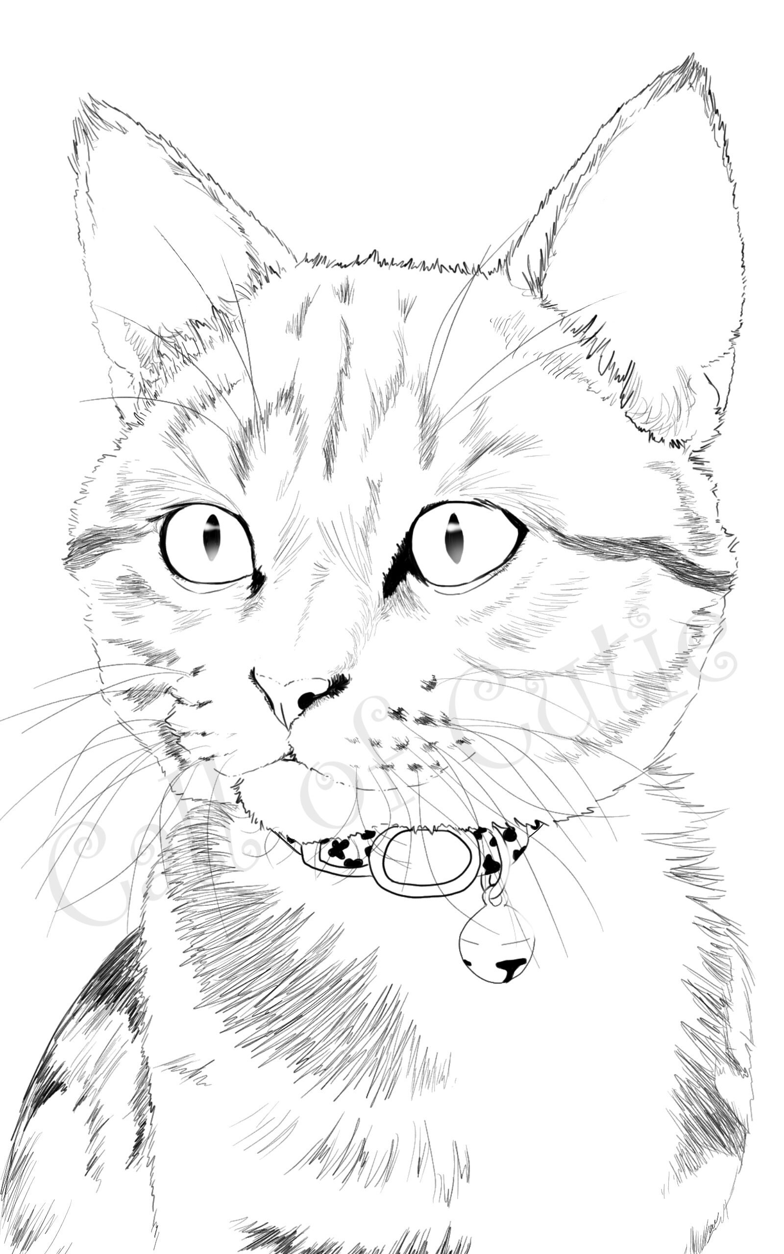 Cat Color Pages/cat Color Sheets/digital Animal Color Pages/cute Cat ...