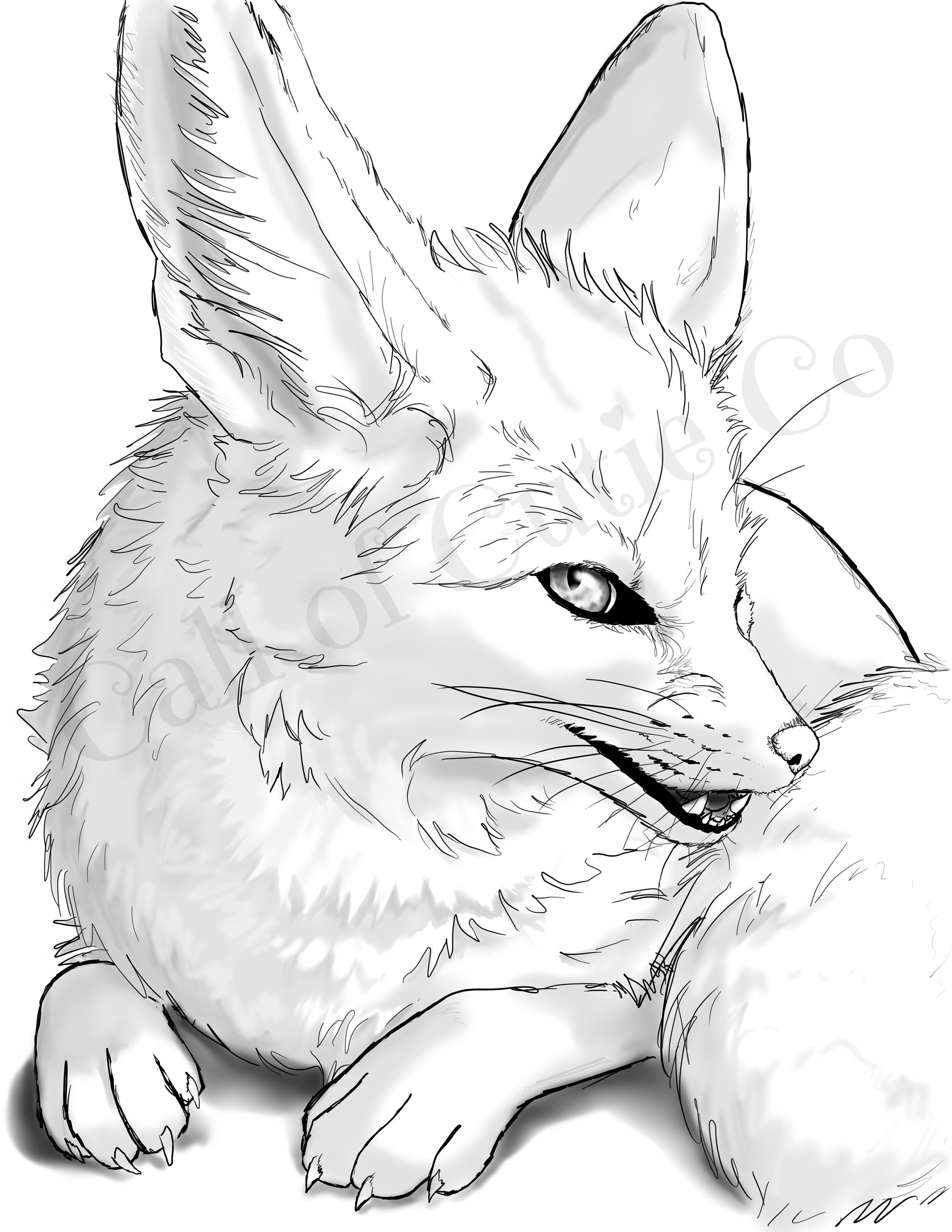 Fox Color Pages-5 Pack/digital Animal Color Pages - Etsy