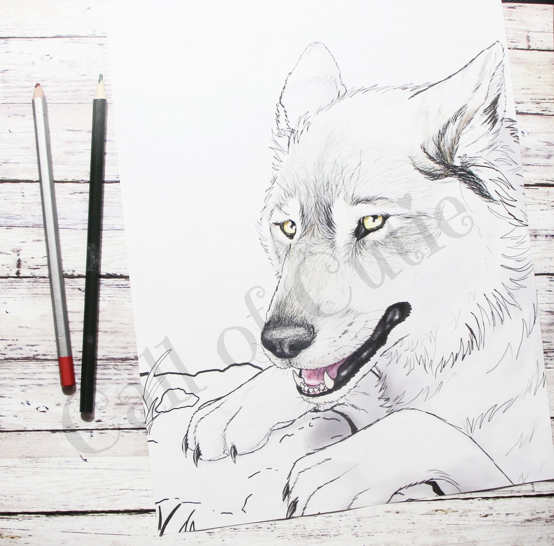 Gray Wolf Color Page/digital Wolf Coloring Pages/animal Coloring Pages ...