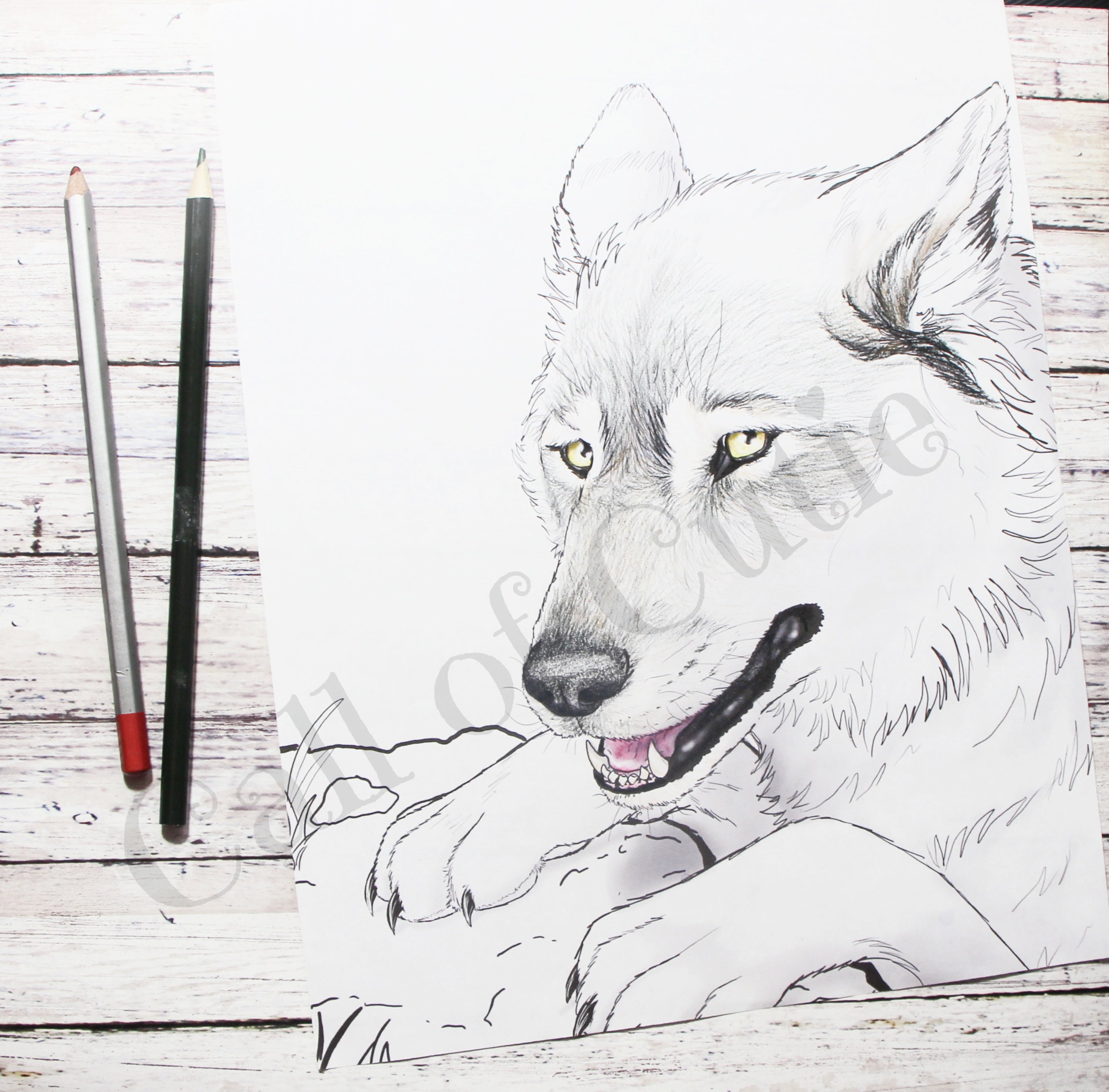 Gray Wolf Color Page/digital Wolf Coloring Pages/animal Coloring Pages ...