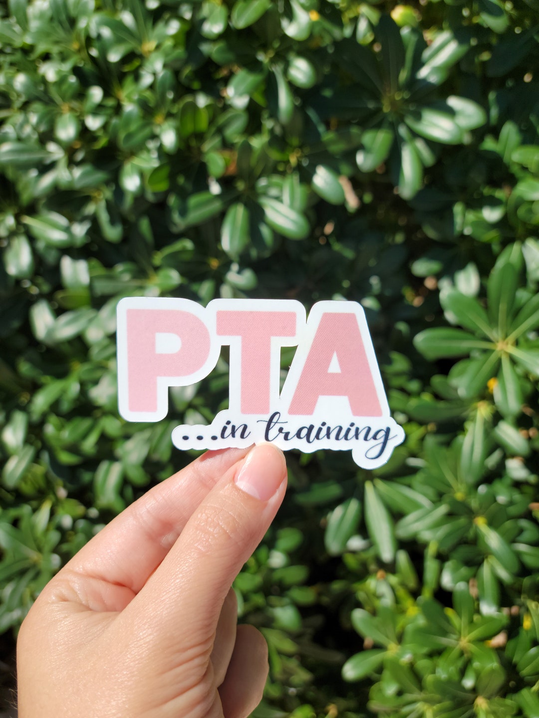 Physical Therapy Sticker Pack - Etsy