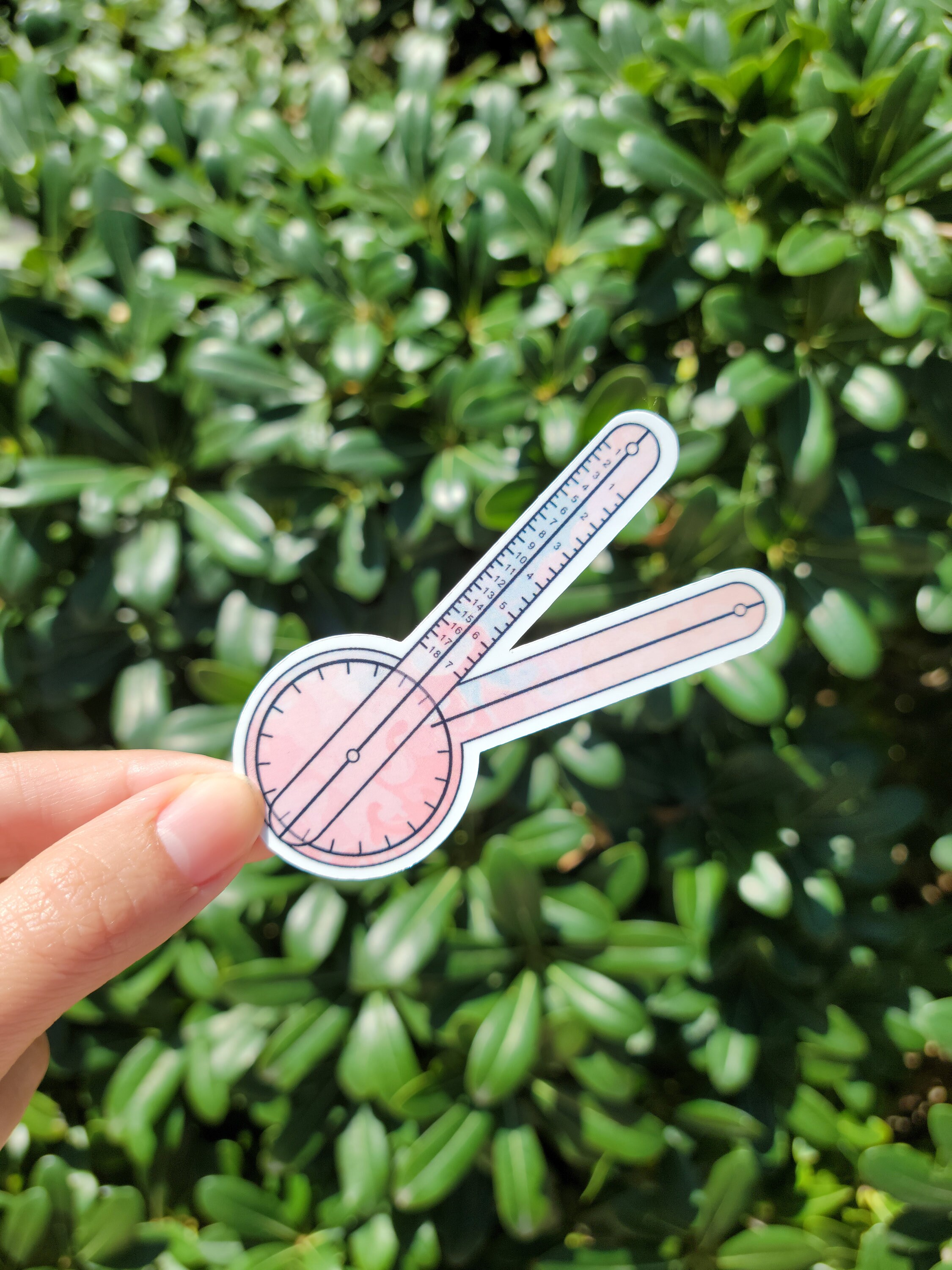Physical Therapy Sticker Pack - Etsy