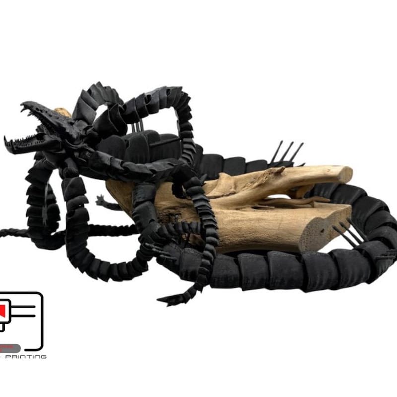 The Leviathan Sea Dragon - Etsy