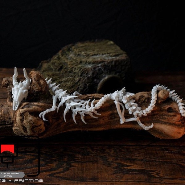 3d Printed Articulating Skeleton Animals - Etsy