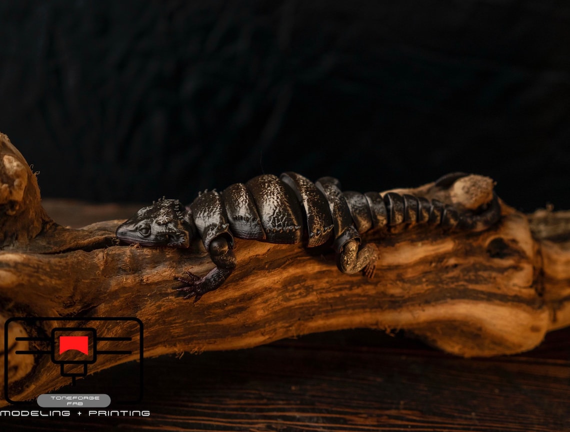 Articulated 3D Printed Pancake Lizard Fidget Toy - Etsy