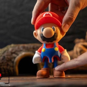 Articulated 3D Printed Mario, Flexi Game Character, Fidget Toy - Etsy