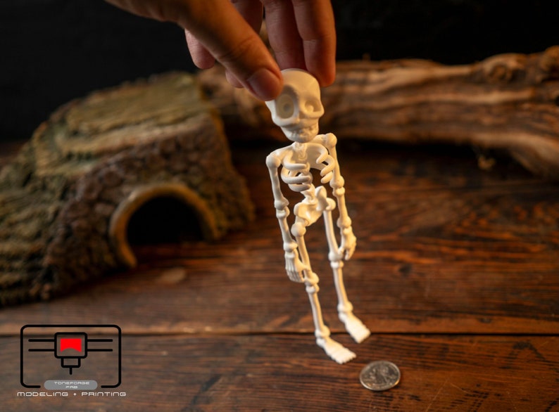 Articulated 3D Printed Skeleton, Fidget Toy - Etsy