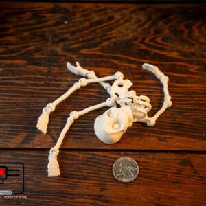 Articulated 3D Printed Skeleton, Fidget Toy - Etsy