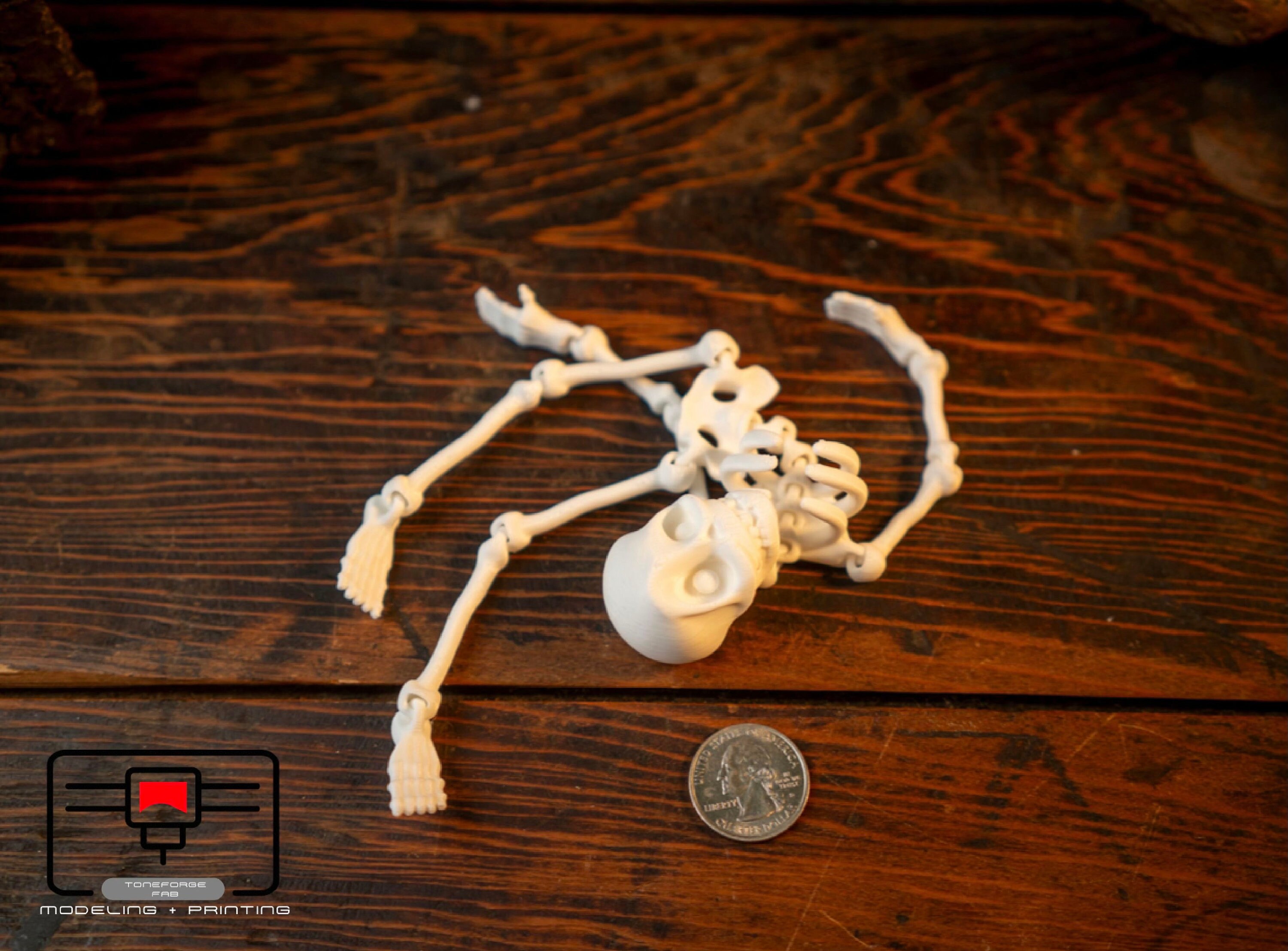 Articulated 3D Printed Skeleton, Fidget Toy - Etsy