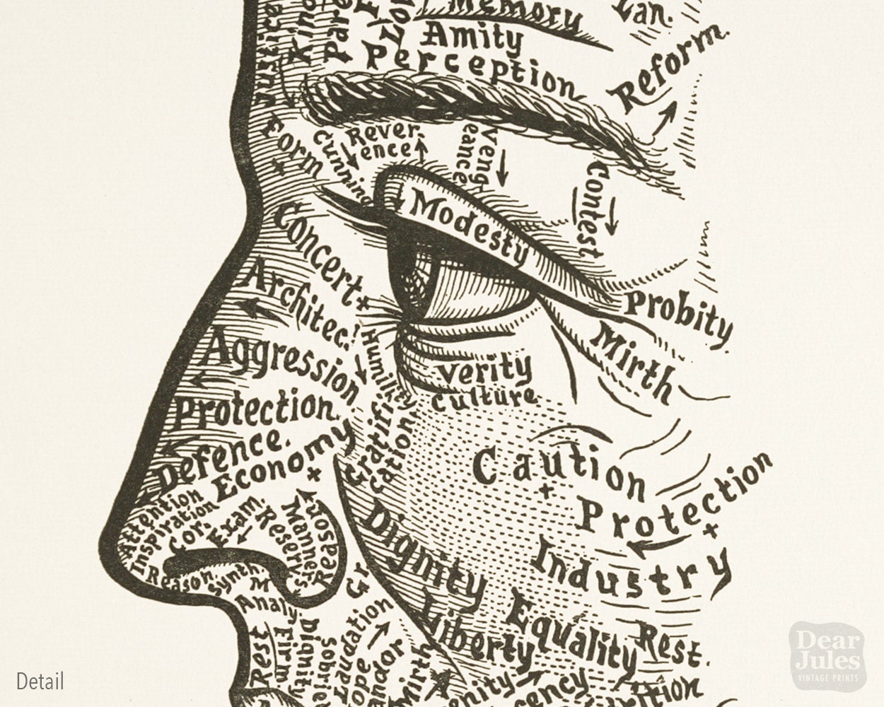 1800s Face Chart Poster | Spiritual Teachings | New Age | Mysticism ...