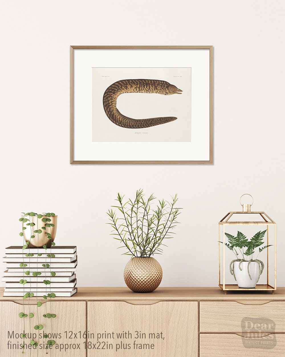 Fish Poster Antique Reproduction | Moray Eel Marine Life | Giclée ...
