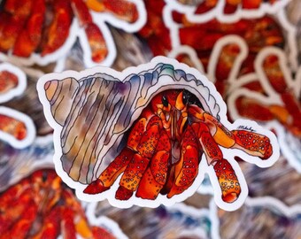 Hermit Crab Sticker | Etsy