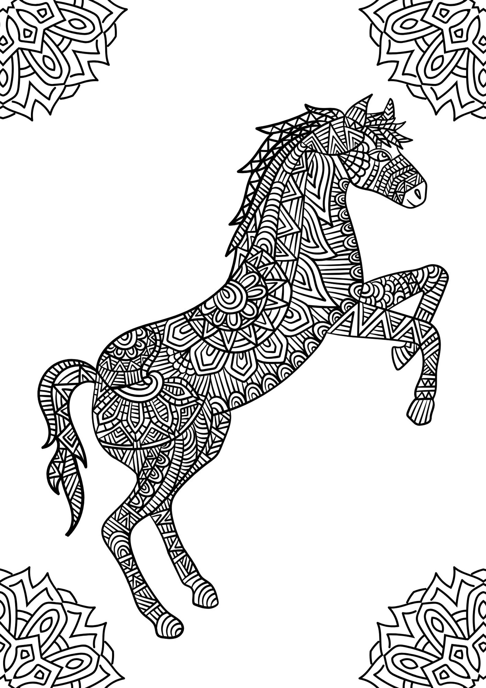 Mandala Style Animal Coloring Pages 8 Intricate Coloring Pages With 3 ...