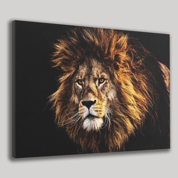Lion Canvas - Etsy