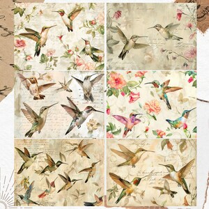 20 Vintage Hummingbirds Papers Jpg, Junk Journal, Digital Birds Paper ...