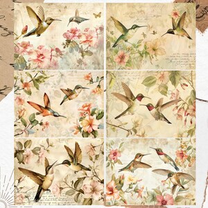 20 Vintage Hummingbirds Papers Jpg, Junk Journal, Digital Birds Paper ...