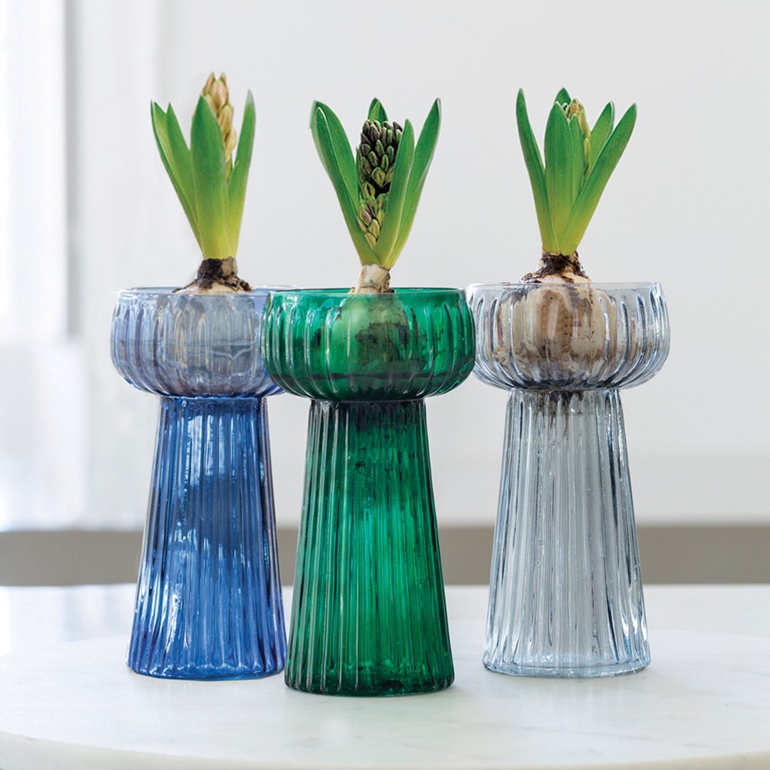 Ribbed Glass Hyacinth Vase Flower Bulb Glass Vase Coloured Glass Bud ...