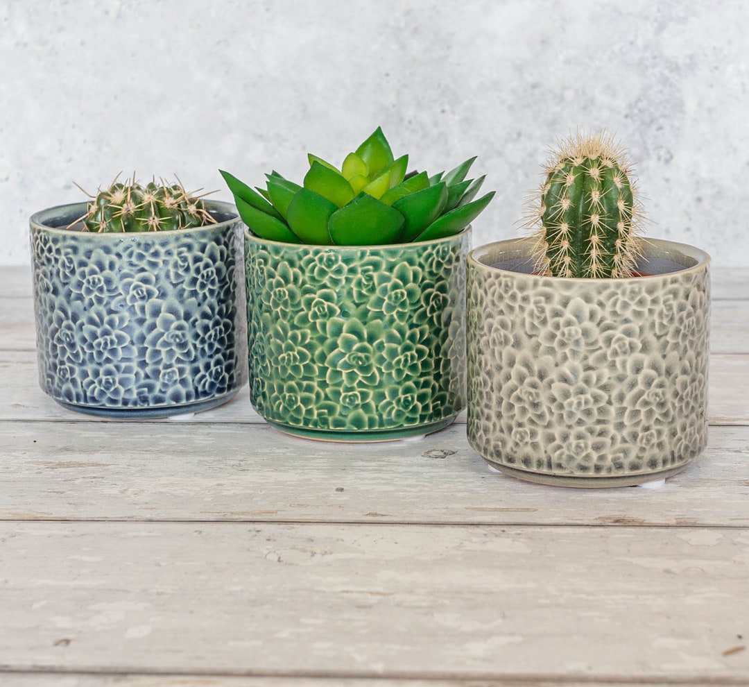 Floral Ceramic Plant Pots, Succulent Pots, Textured Ceramic Planter ...