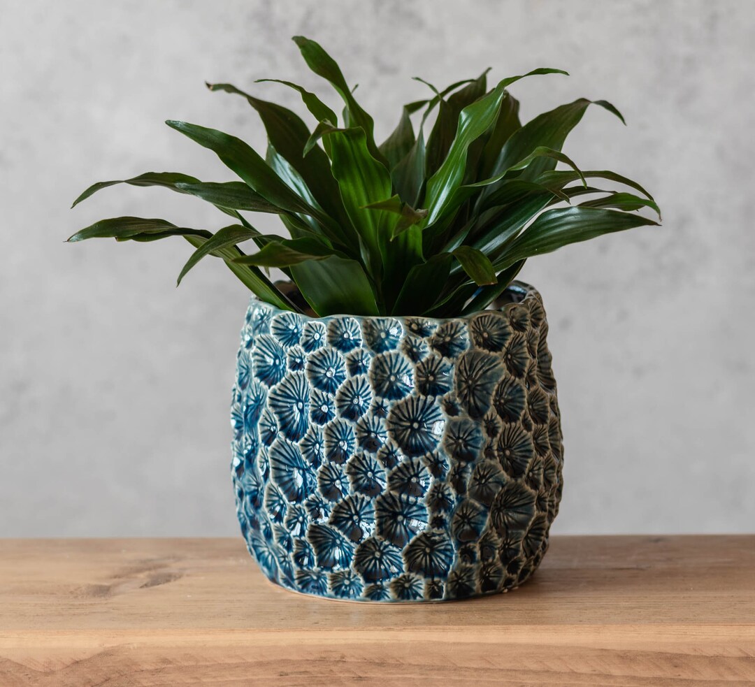 Sea Shell Pattern Indoor Planter Glazed Plant Pot Indoor Plant Pot Blue ...