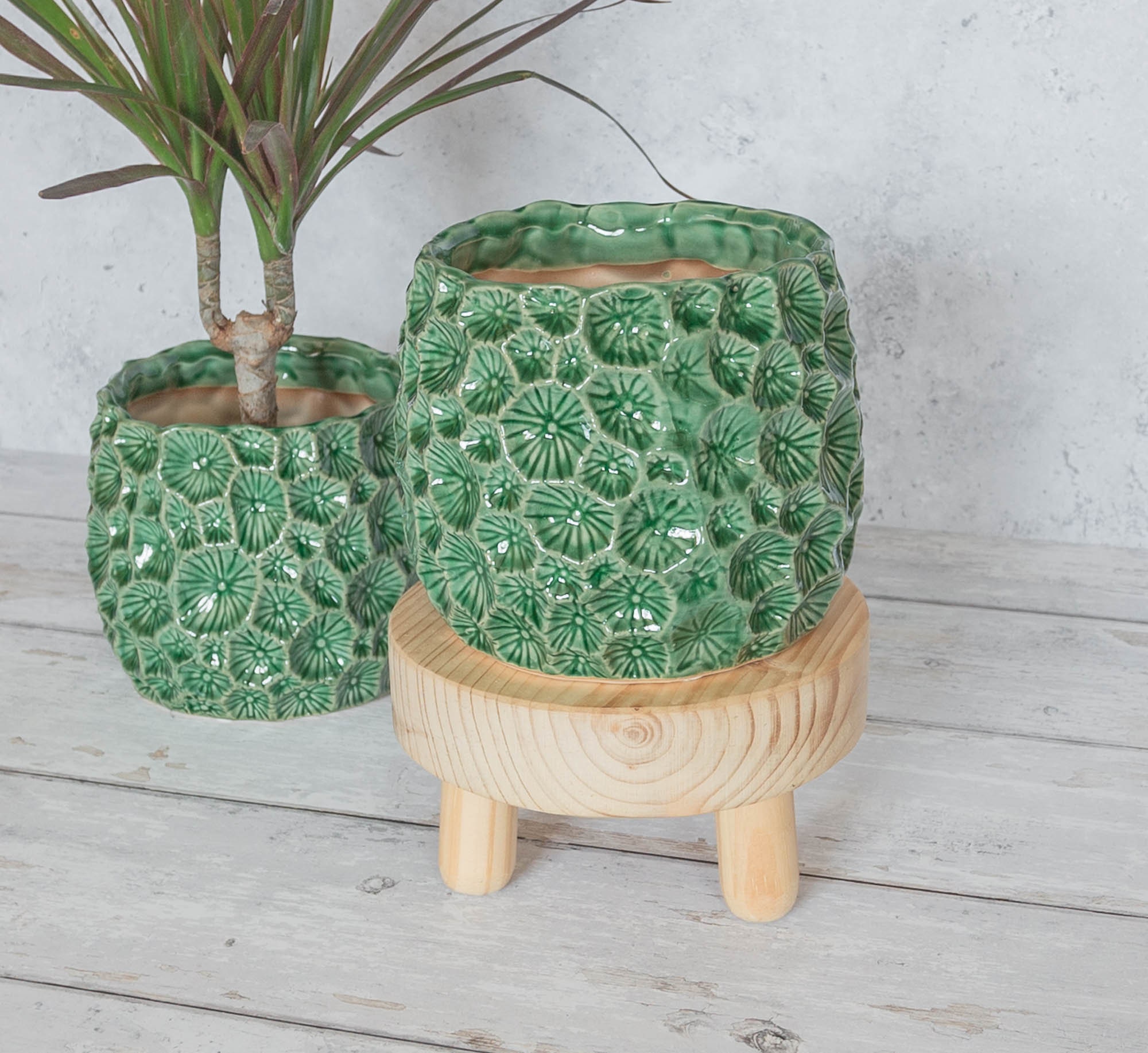 Green Shell Pattern Planter Glazed Plant Pot House Plant - Etsy UK