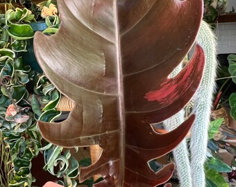 Paper Artificial Plant Handmade Plant Art from Original Illustrations ...