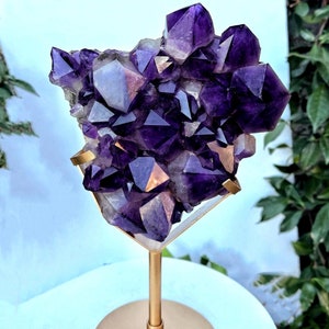 13in/9.9lb AAAA Statement XXL Big Teeth Deep Purple Amethyst Specimen ...