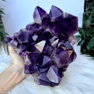 13in/9.9lb AAAA Statement XXL Big Teeth Deep Purple Amethyst Specimen ...
