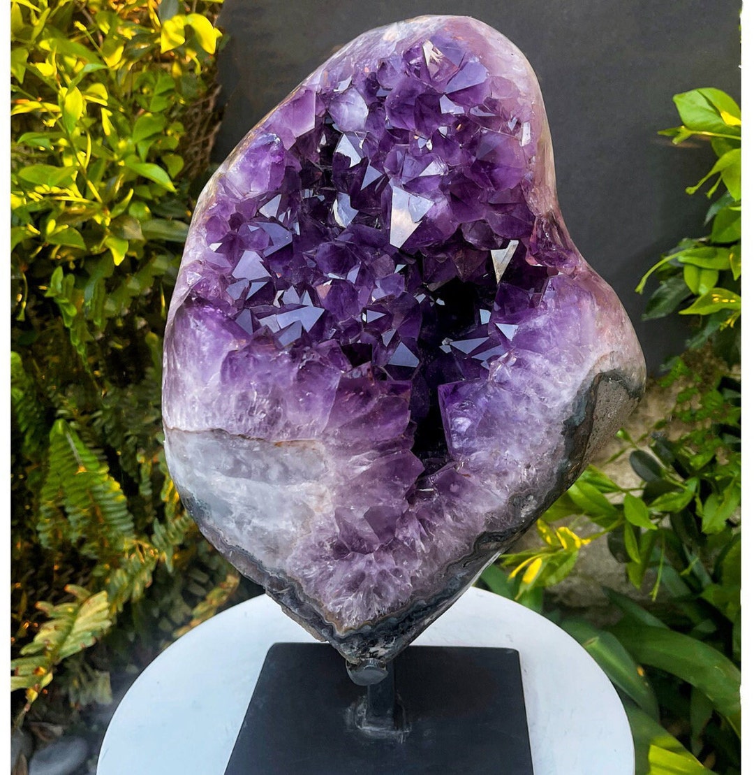 25LB AAAA XXXL Statement Uruguayan Large Teeth Deep Purple Amethyst ...