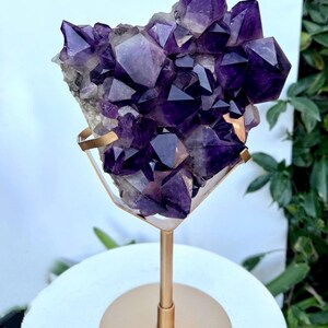 13in/9.9lb AAAA Statement XXL Big Teeth Deep Purple Amethyst Specimen ...