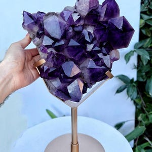 13in/9.9lb AAAA Statement XXL Big Teeth Deep Purple Amethyst Specimen ...