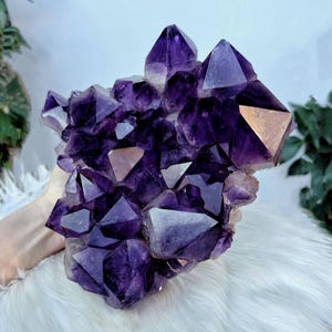 13in/9.9lb AAAA Statement XXL Big Teeth Deep Purple Amethyst Specimen ...