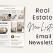 Real Estate New Listing Email Newsletter, Real Estate Flyer, Newsletter ...