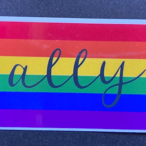 Ally Sticker Pack, LGBTQ Stickers, Pride Stickers, Water Bottle Decals ...