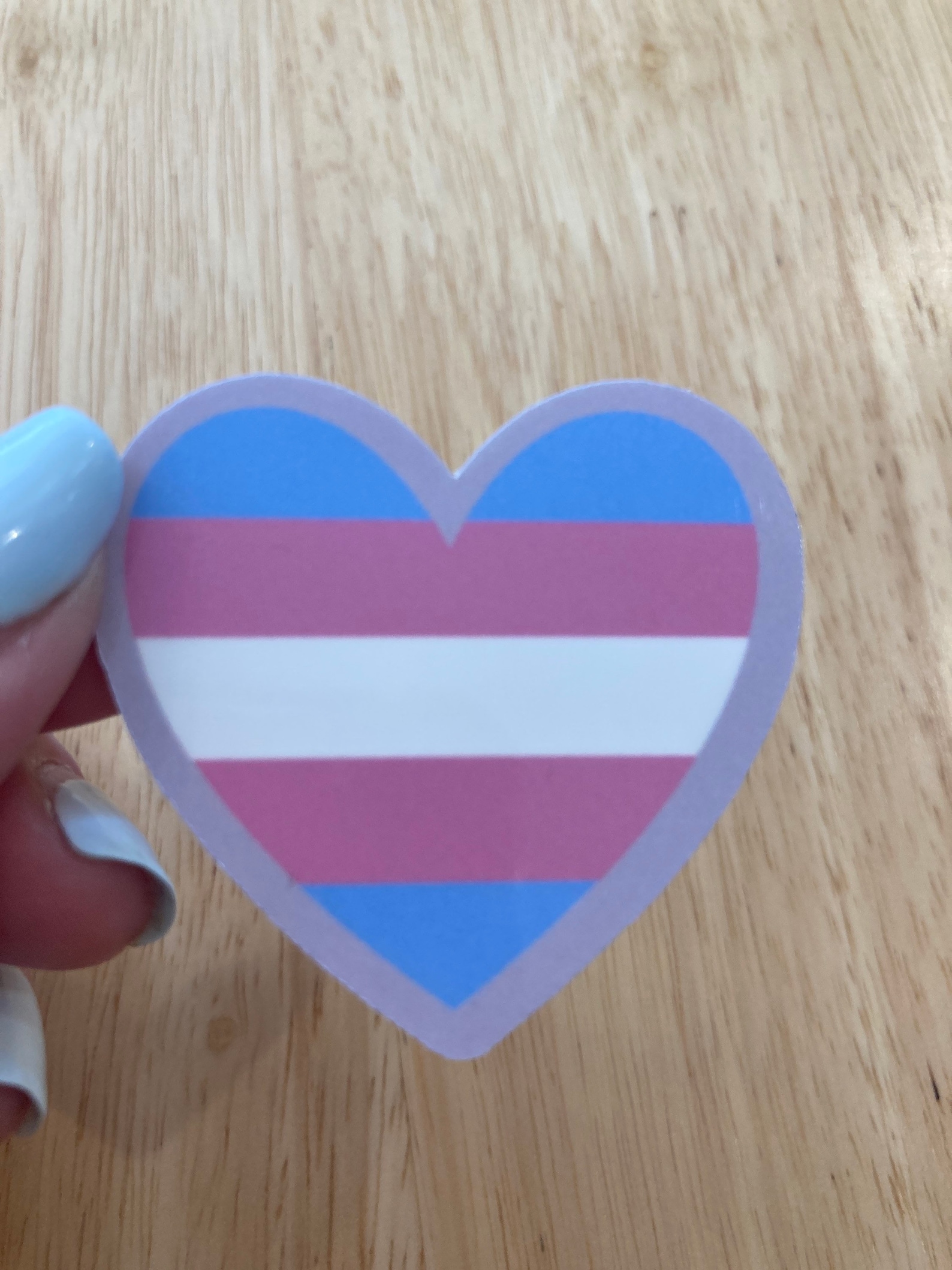 Trans Pride Sticker Pack LGBTQ Stickers Pride Stickers - Etsy